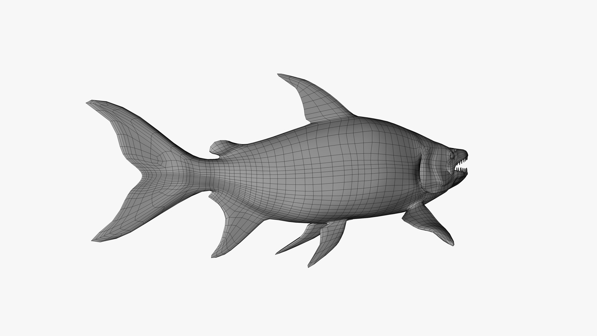 3d Model Giant Tigerfish Fish