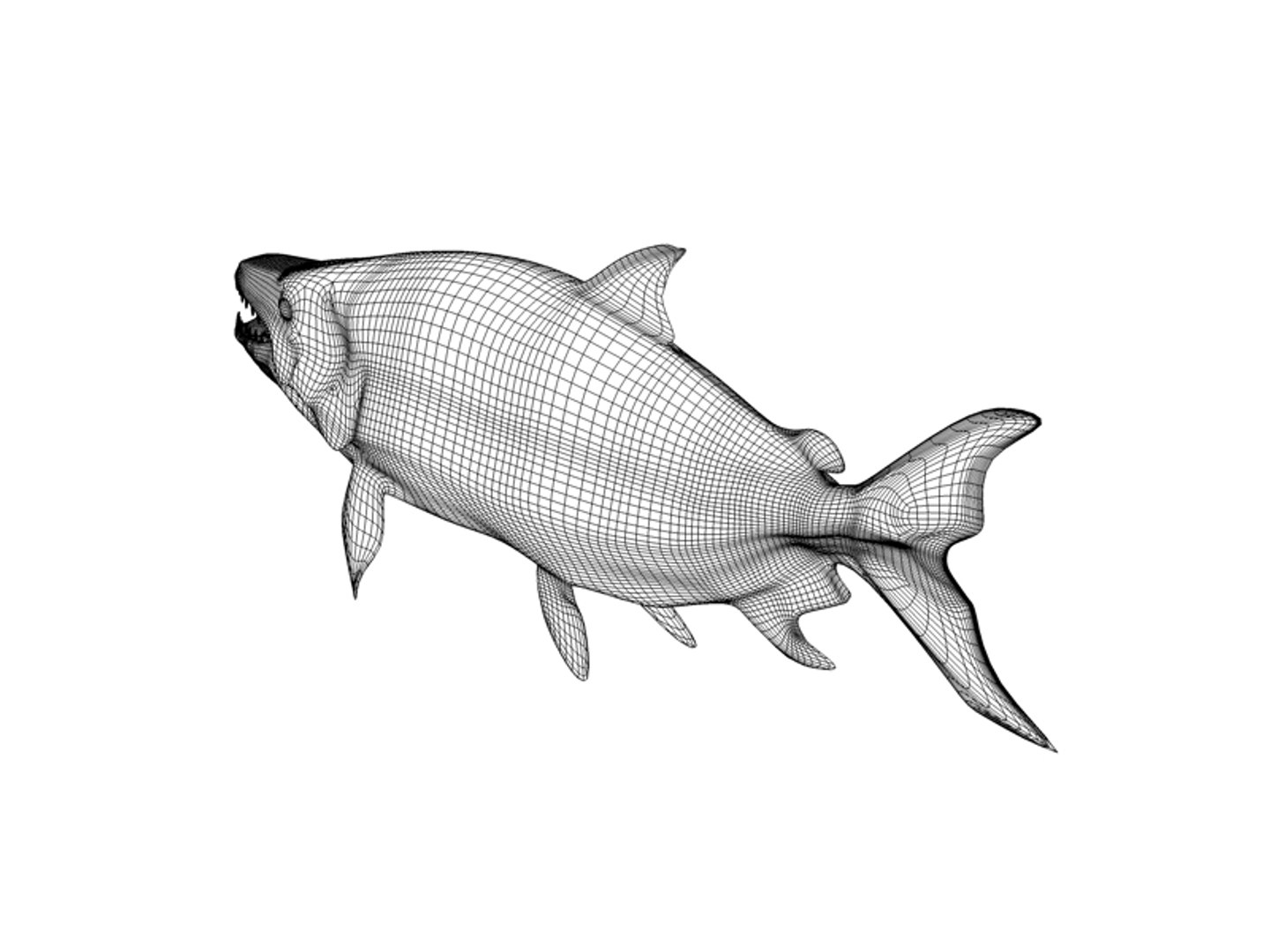 3d model giant tigerfish fish