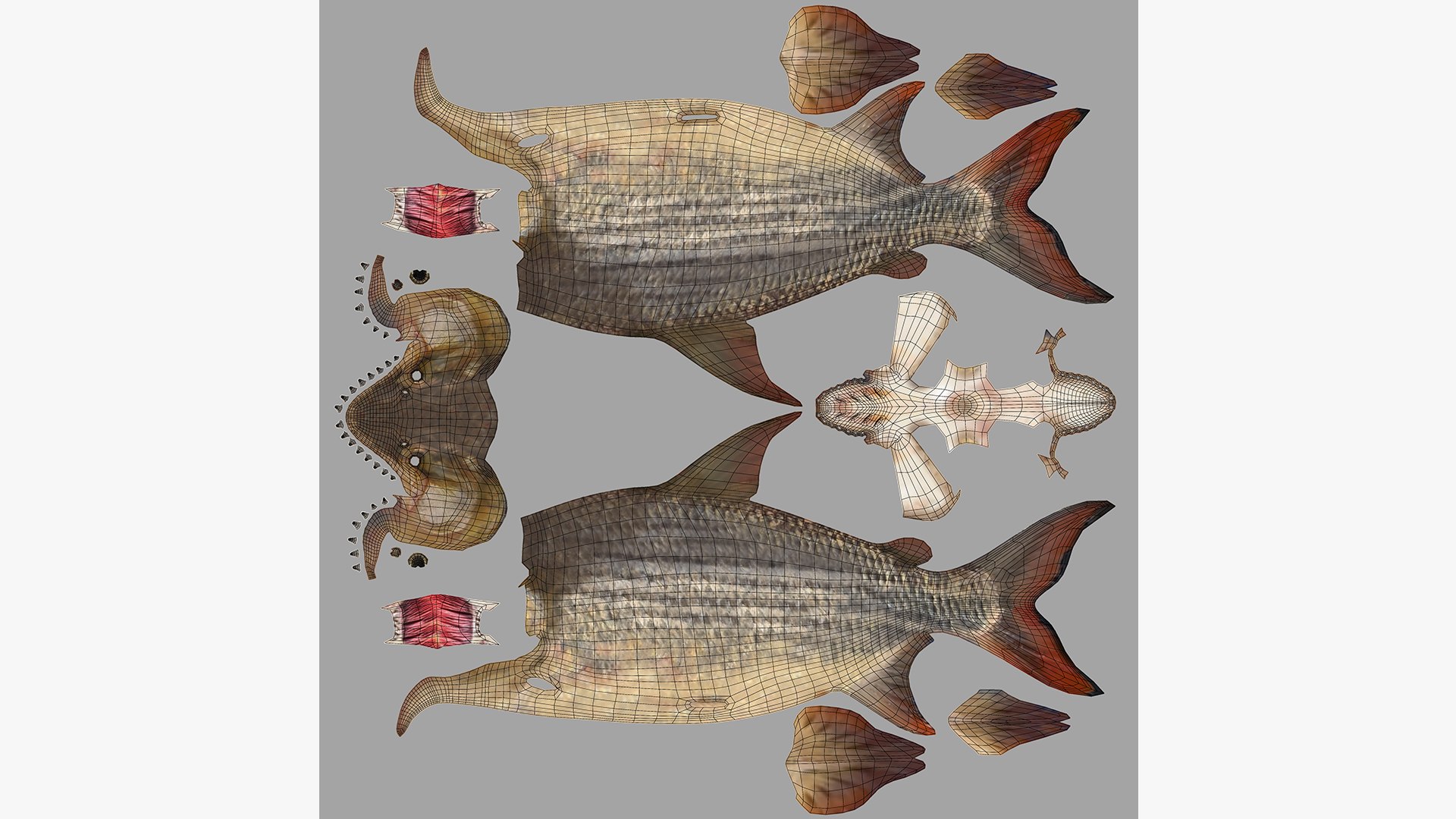 3d Model Giant Tigerfish Fish