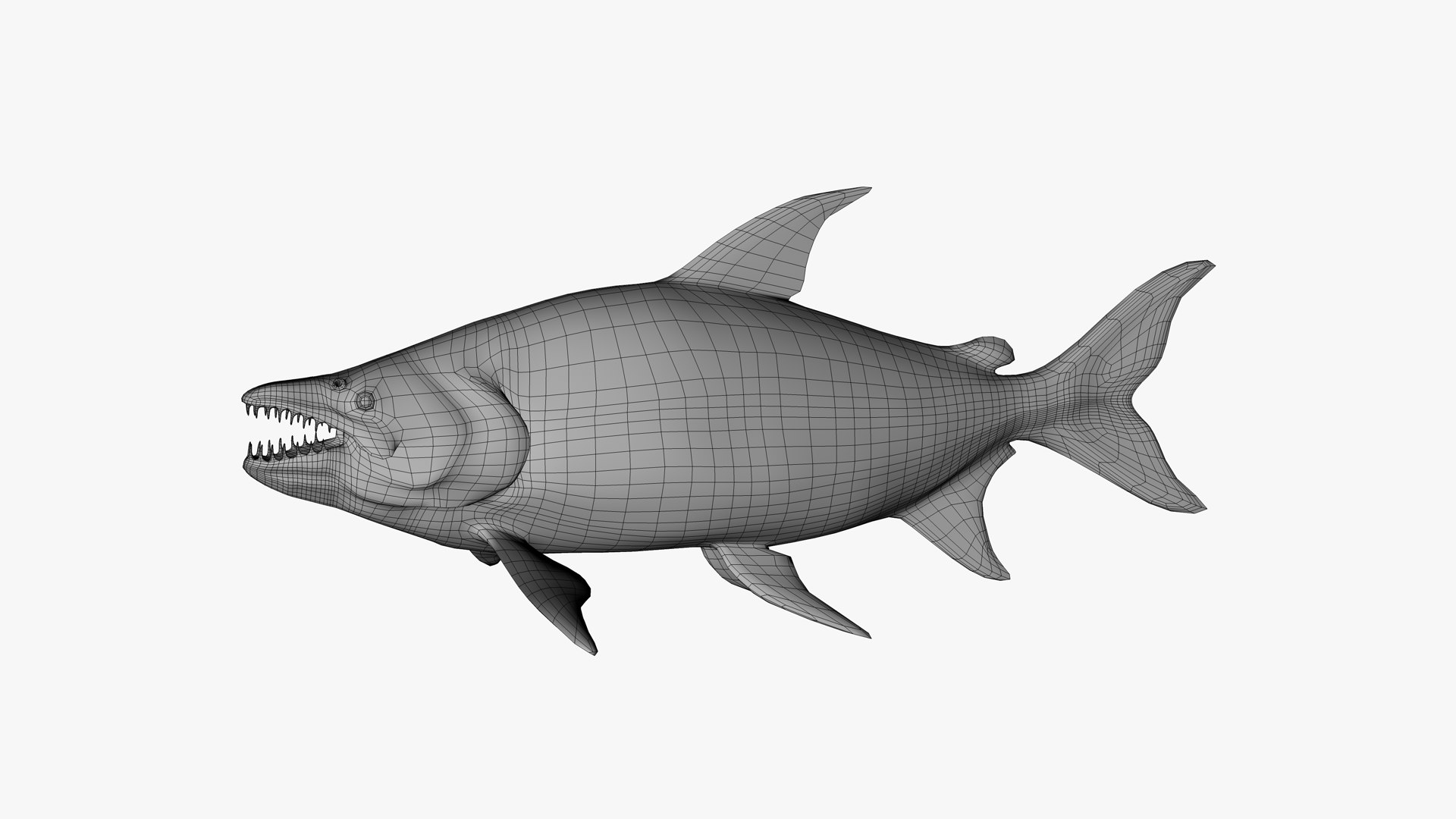 3d Model Giant Tigerfish Fish
