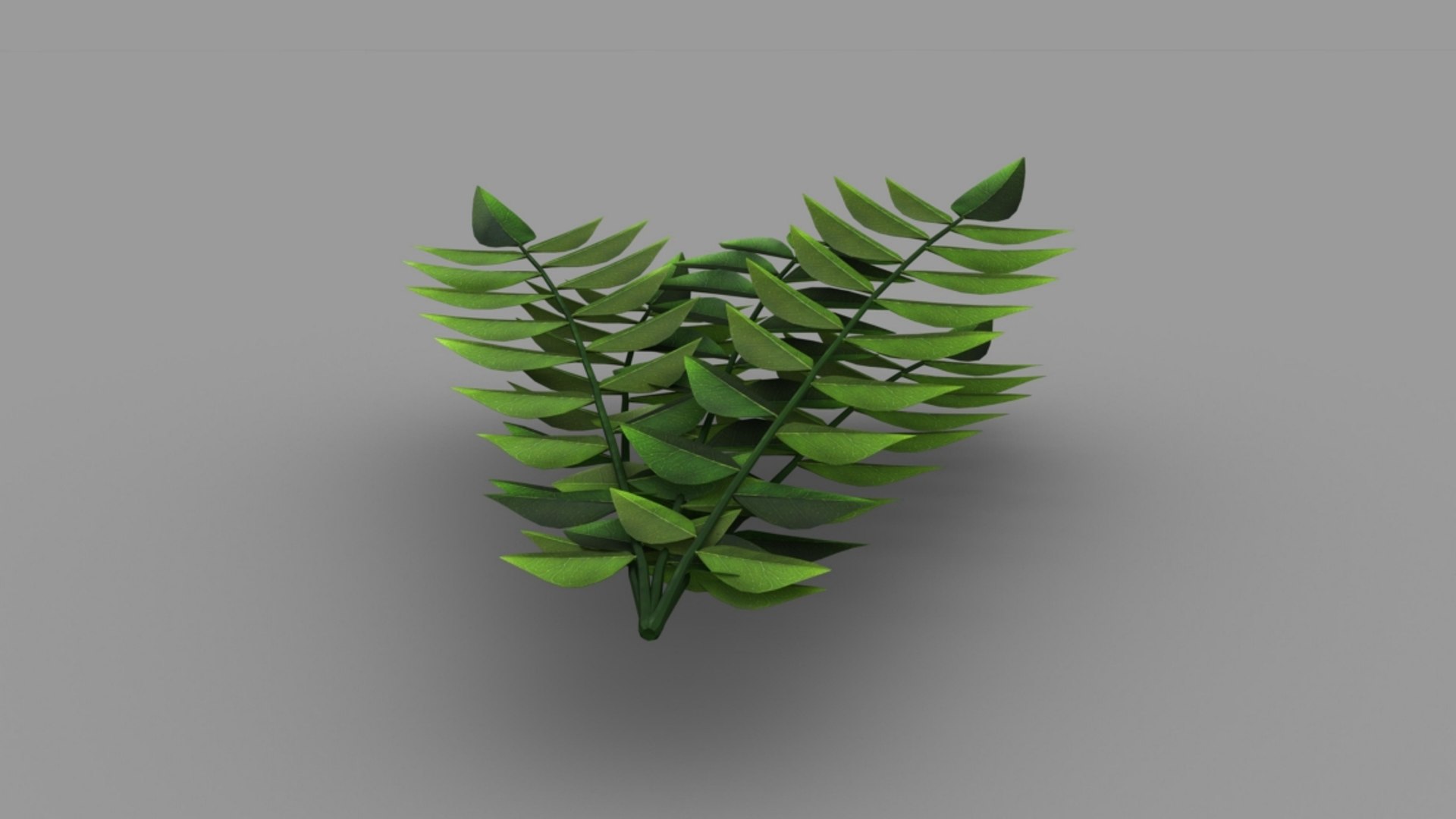 3D Curry Leaves Model - TurboSquid 1260270