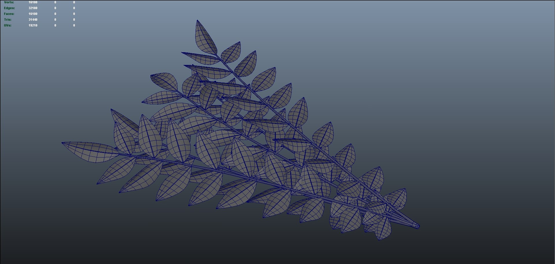 3D Curry Leaves Model - TurboSquid 1260270