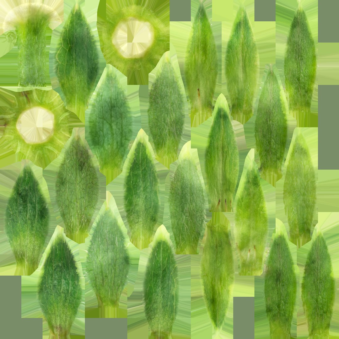 Strawberry Model - TurboSquid 2195026