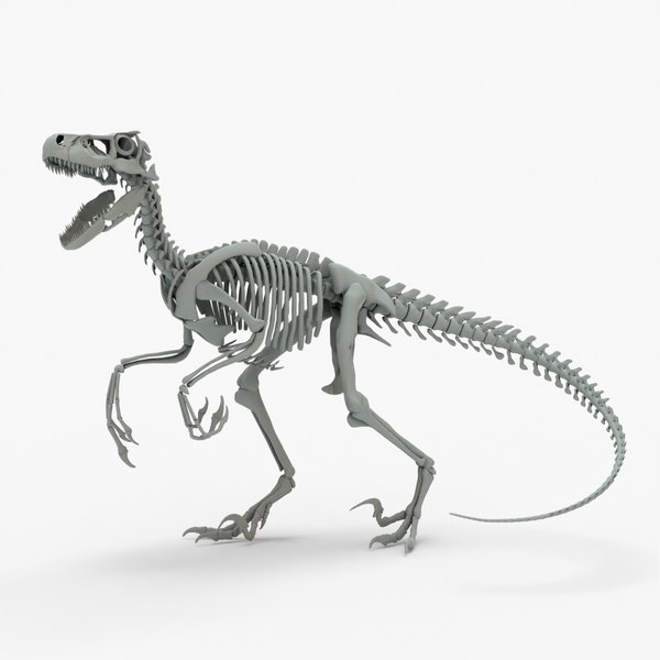 Esqueleto manipulado de Atrociraptor Modelo 3D - TurboSquid 2133874