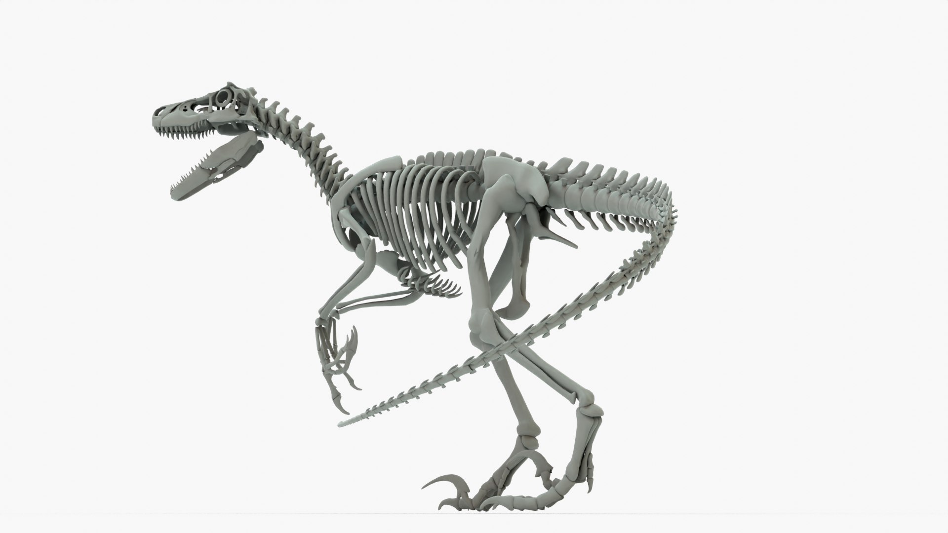 3D Atrociraptor Rigged Skeleton model - TurboSquid 2133874