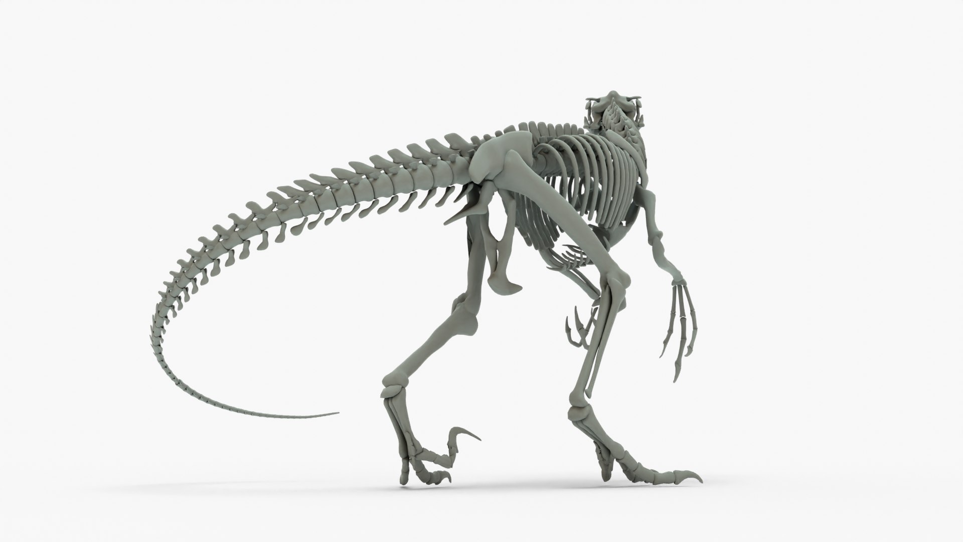 3D Atrociraptor Rigged Skeleton model - TurboSquid 2133874