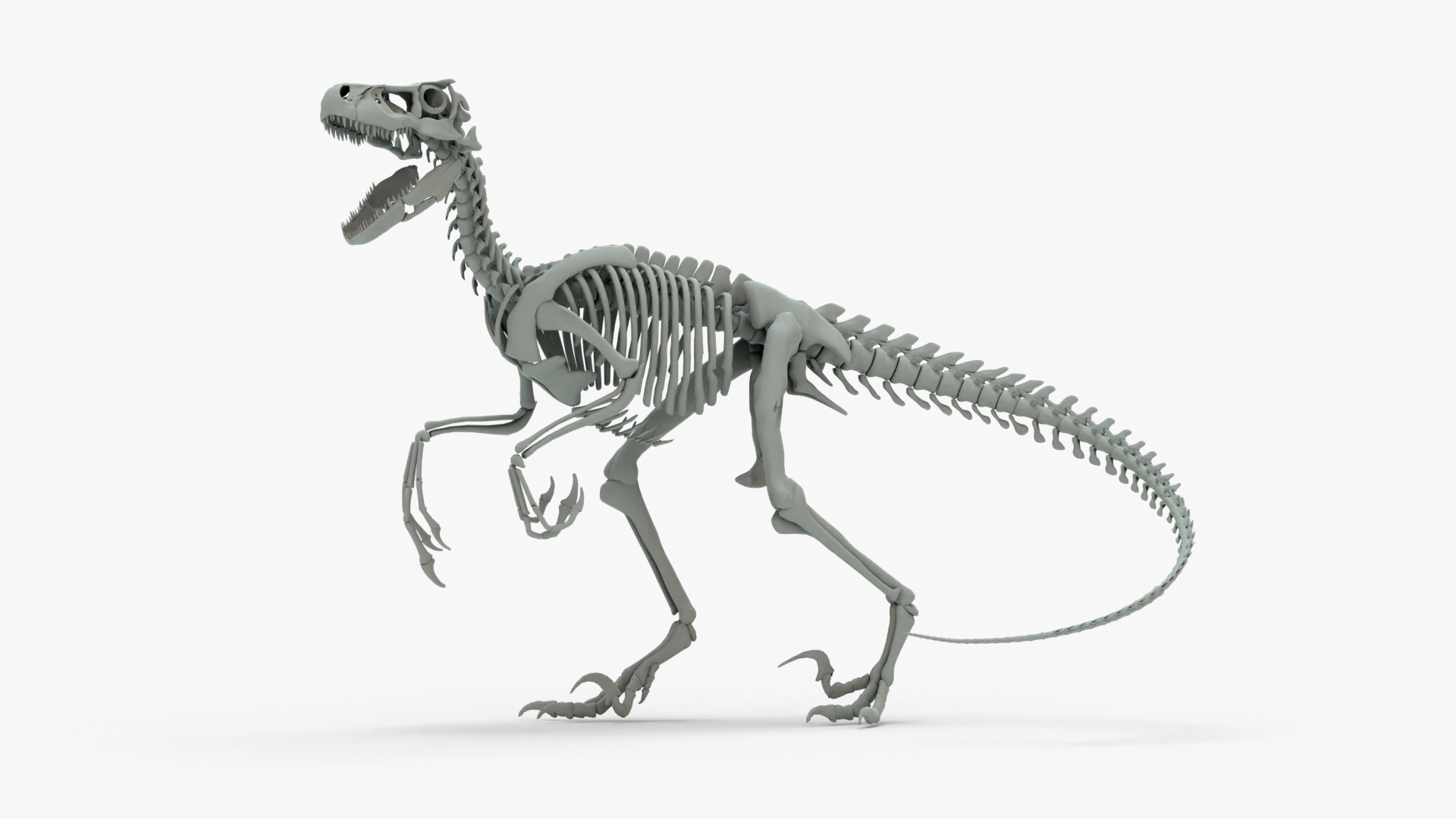 3D Atrociraptor Rigged Skeleton model - TurboSquid 2133874