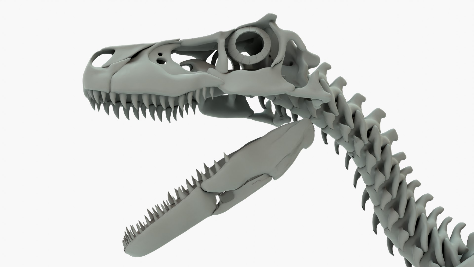 3D Atrociraptor Rigged Skeleton model - TurboSquid 2133874