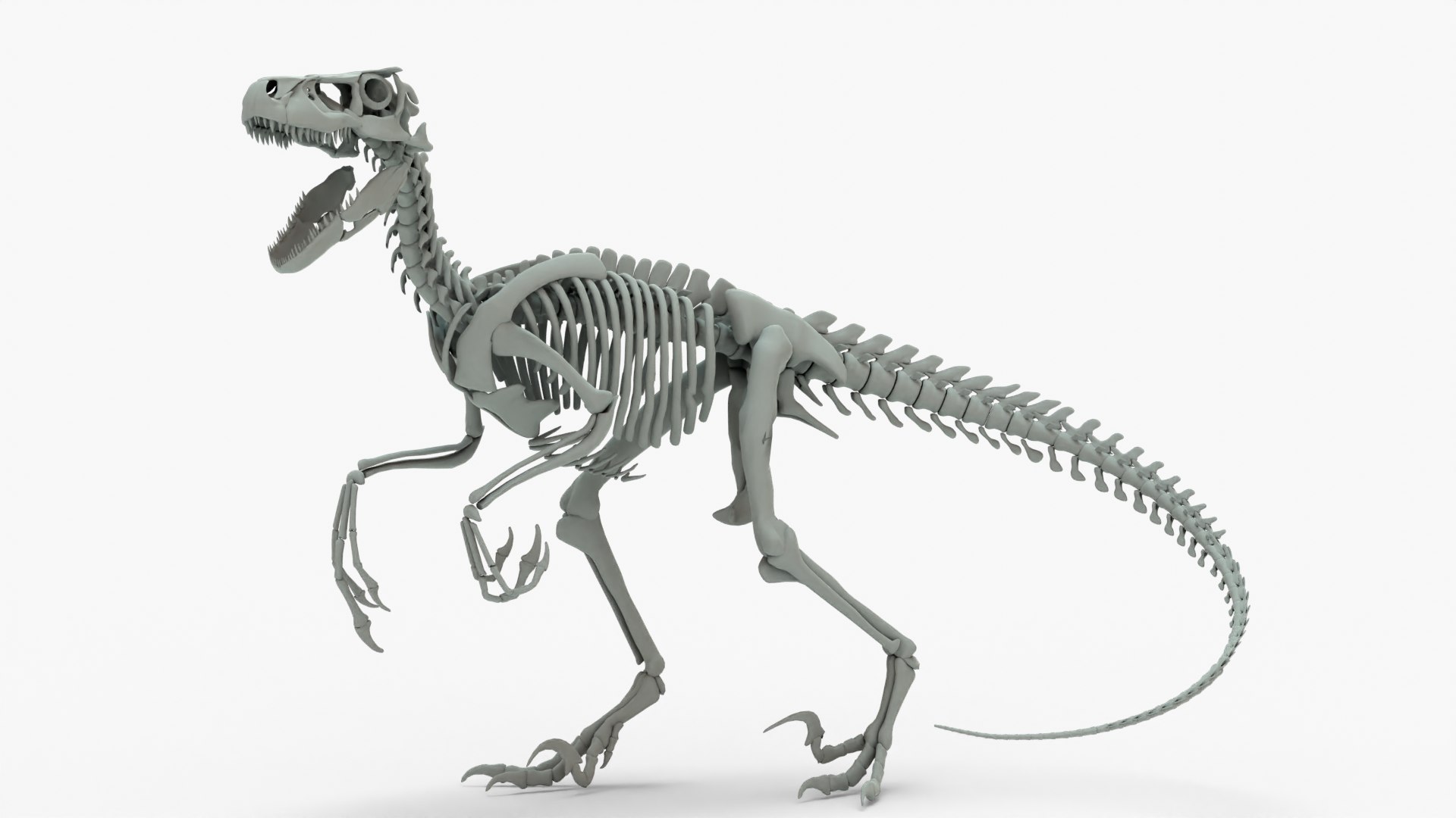3D Atrociraptor Rigged Skeleton model - TurboSquid 2133874