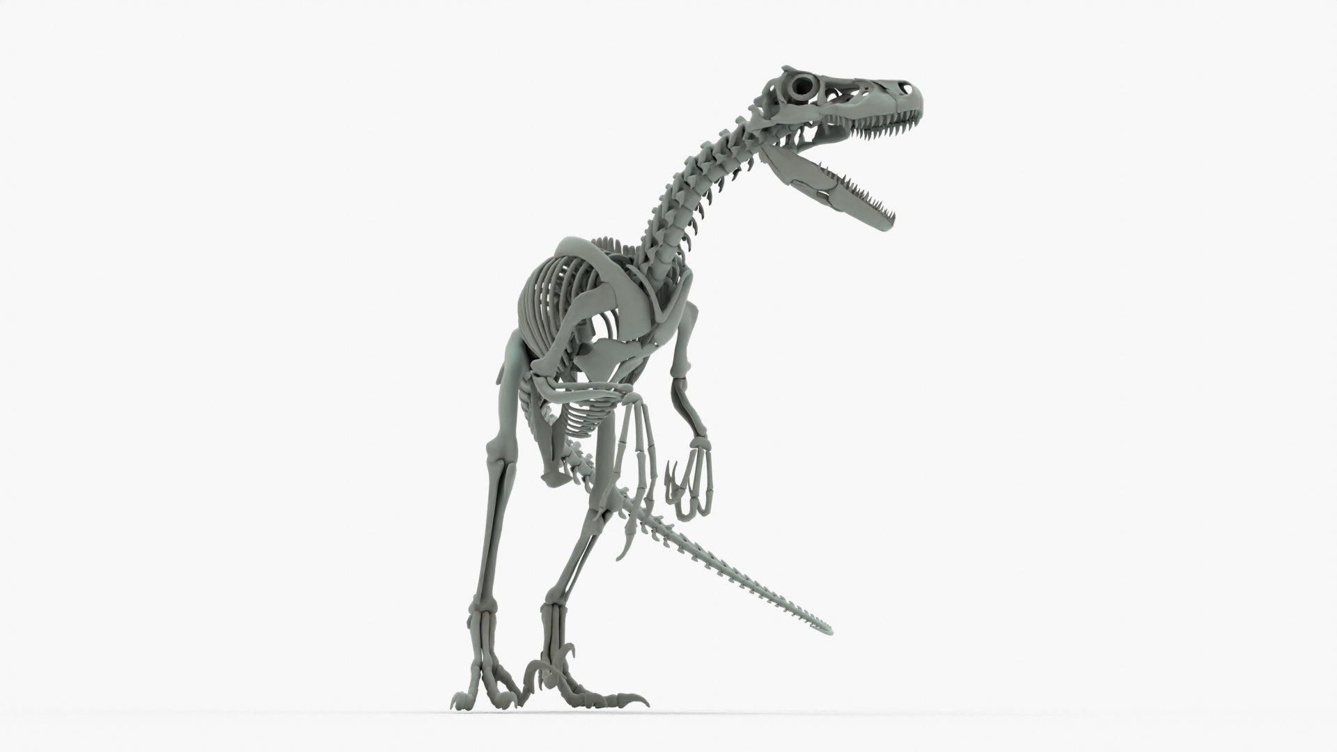 3D Atrociraptor Rigged Skeleton model - TurboSquid 2133874