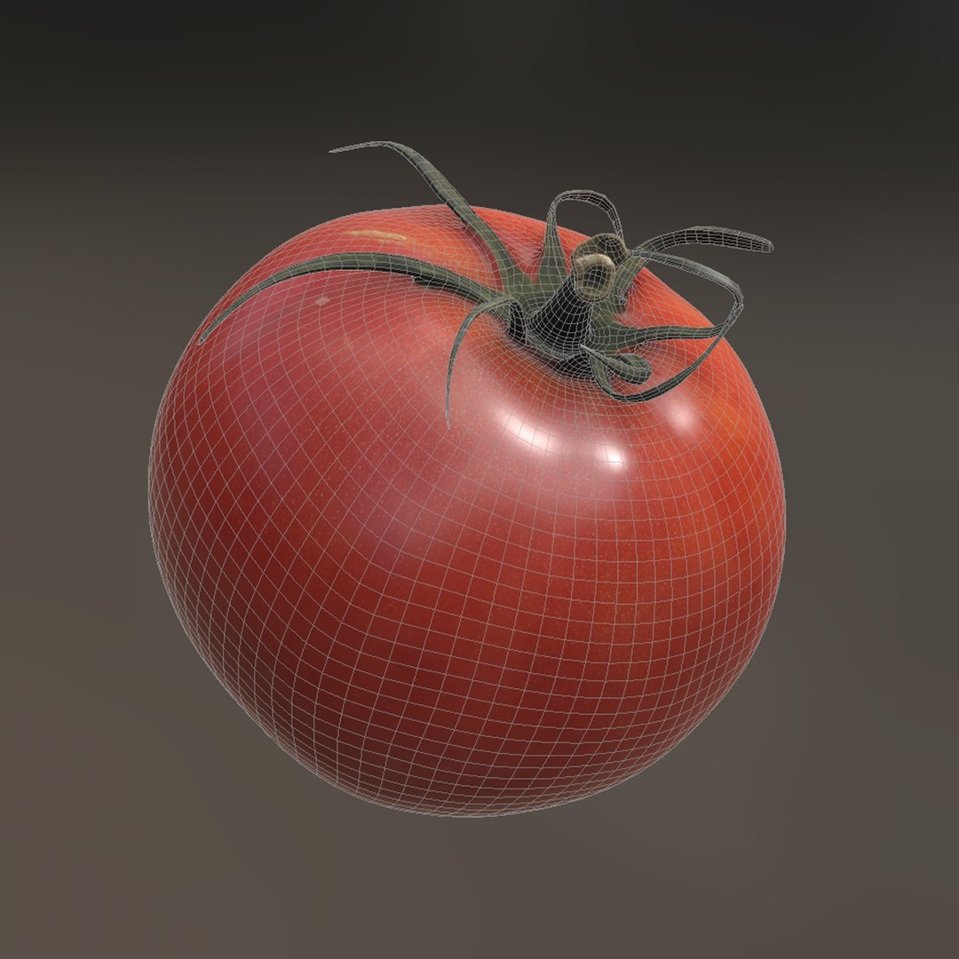Tomato 3D model - TurboSquid 1946105