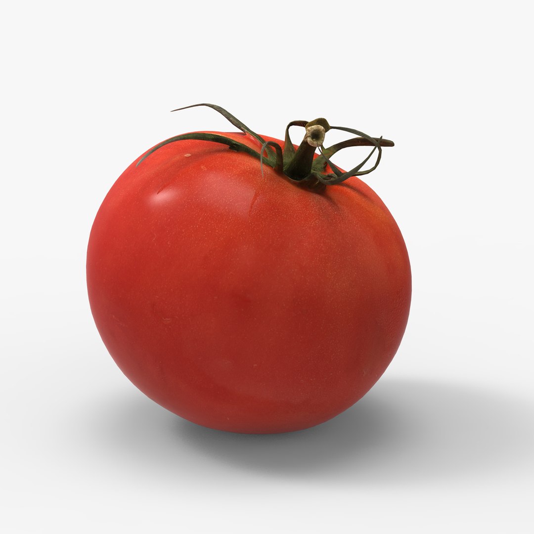 Tomato 3D model - TurboSquid 1946105