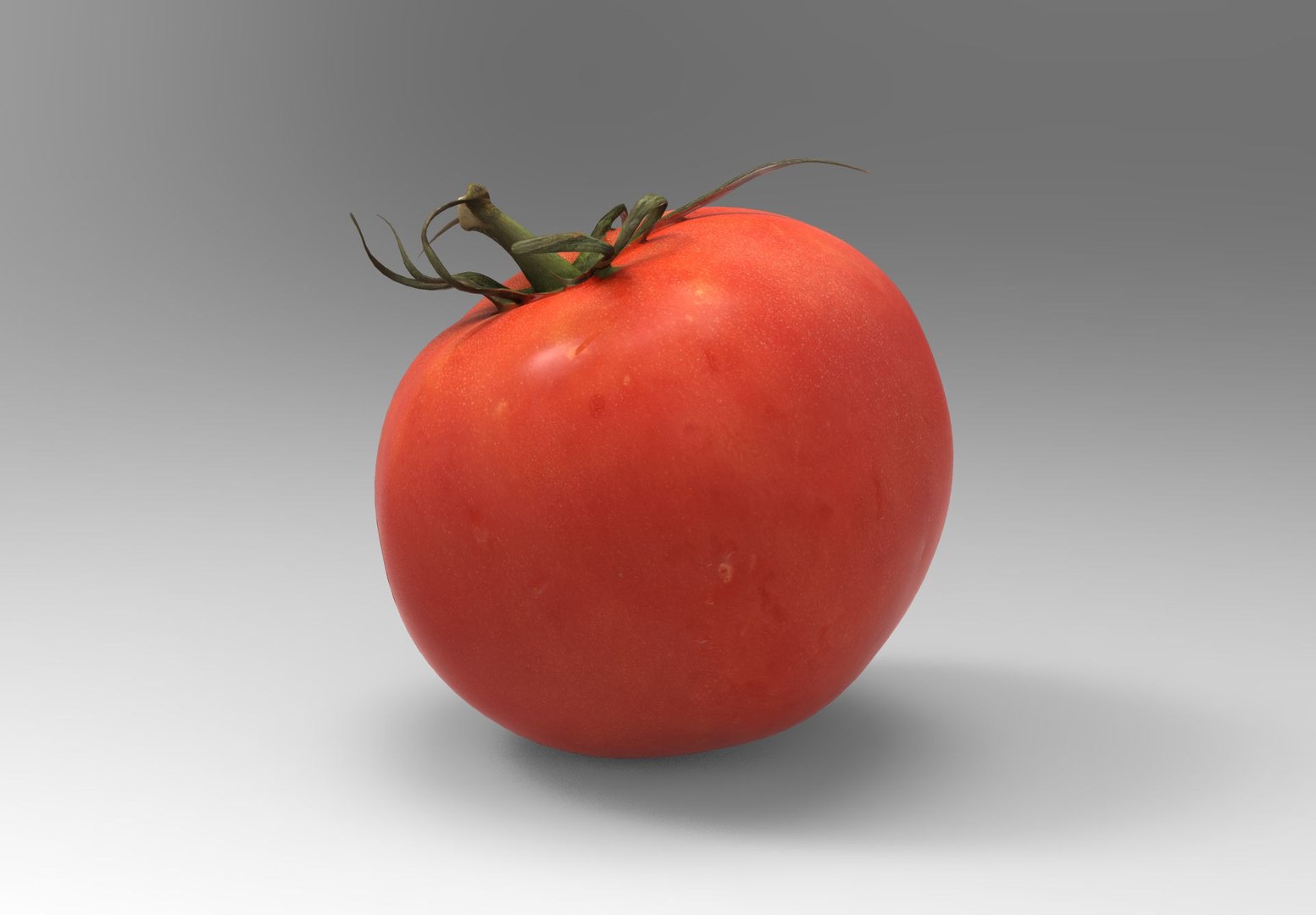 Tomato 3D model - TurboSquid 1946105