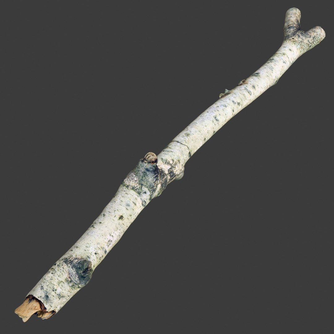 Realistic Branch 02 3D - TurboSquid 1218177