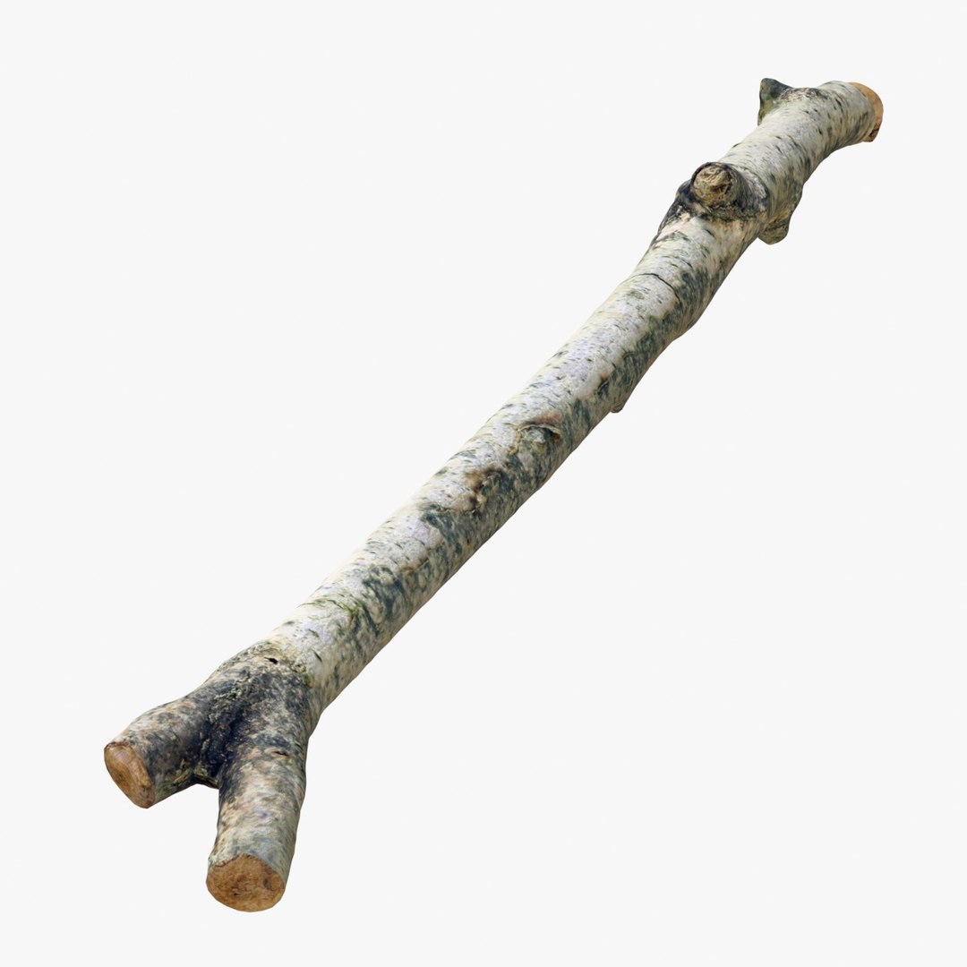 Realistic Branch 02 3D - TurboSquid 1218177