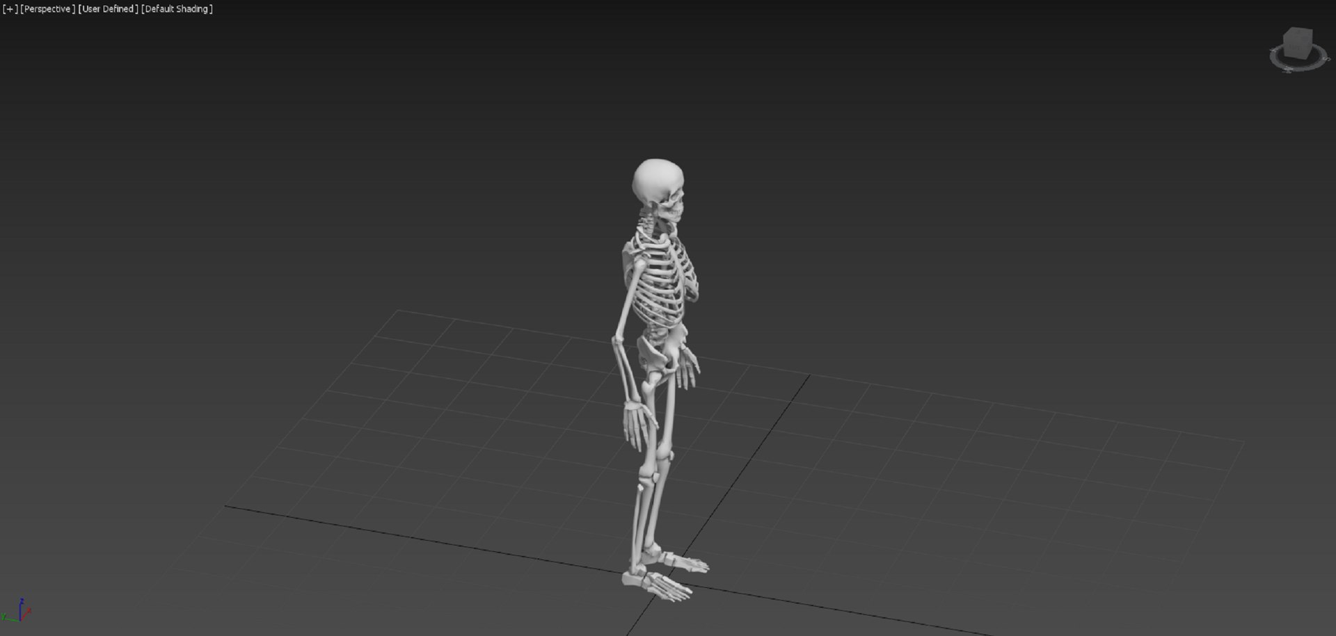 3D Skeleton model - TurboSquid 1956487