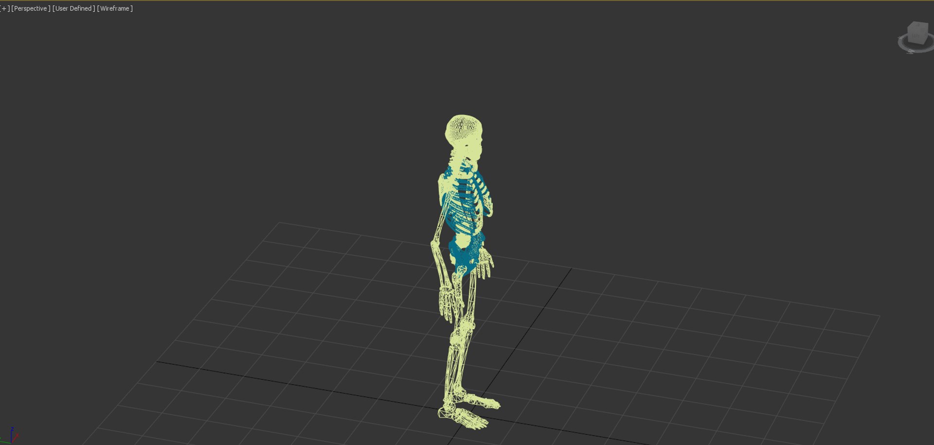 3D Skeleton model - TurboSquid 1956487