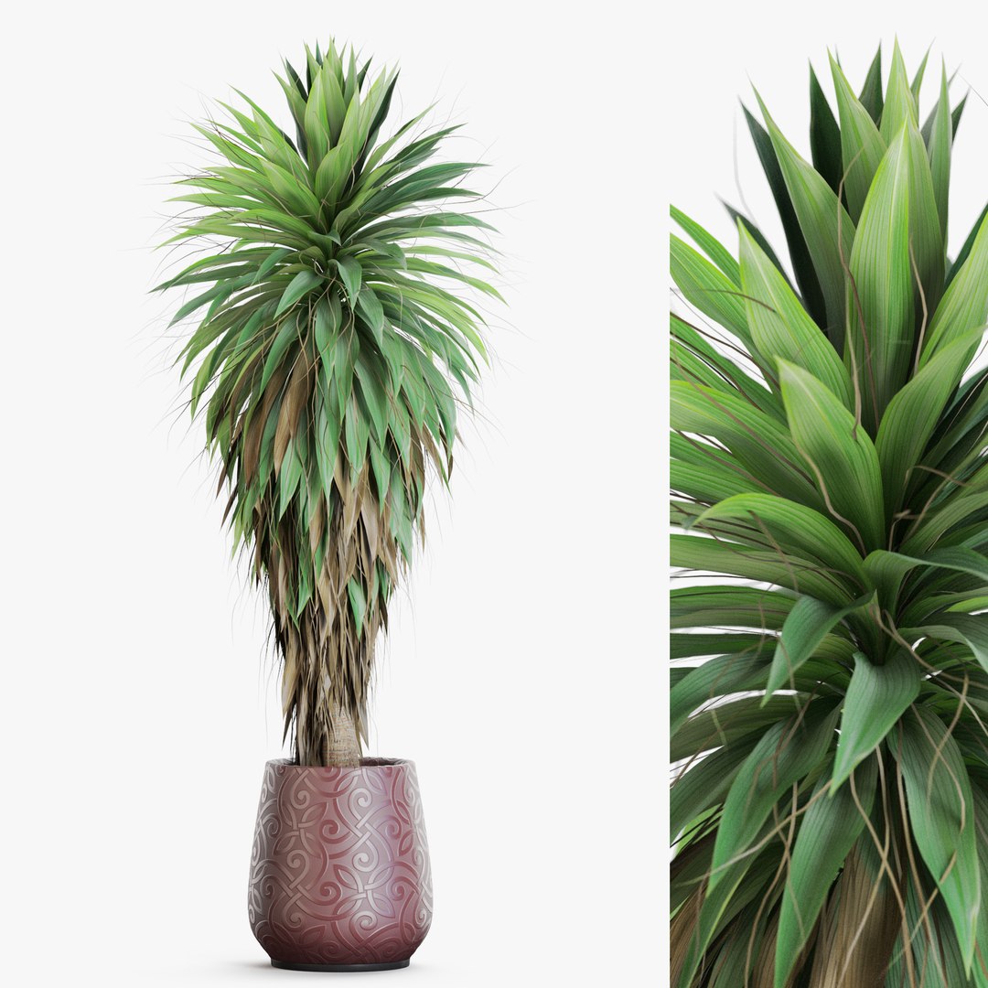 3D Plants Collection 1180 - TurboSquid 2296006