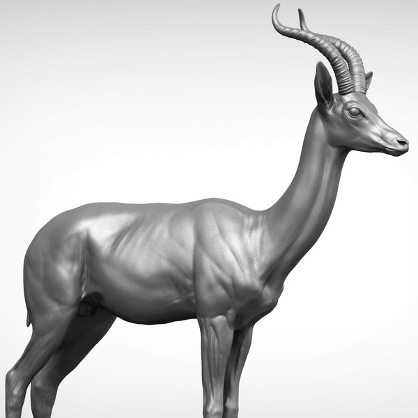 Antelope 3D Models for Download | TurboSquid