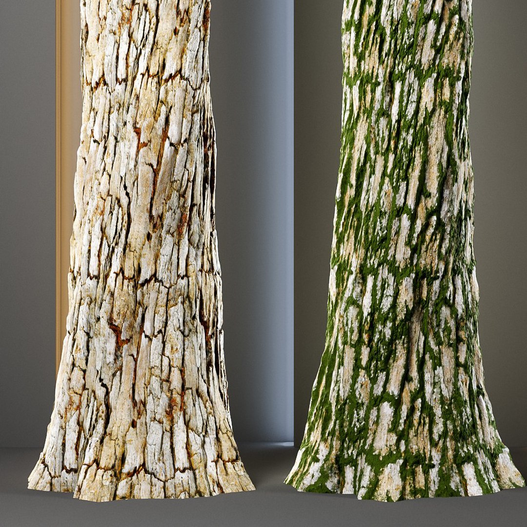 3D Tree Bark And Trunk Vol 16 - 4K PBR Tileable 4 Variations Model ...