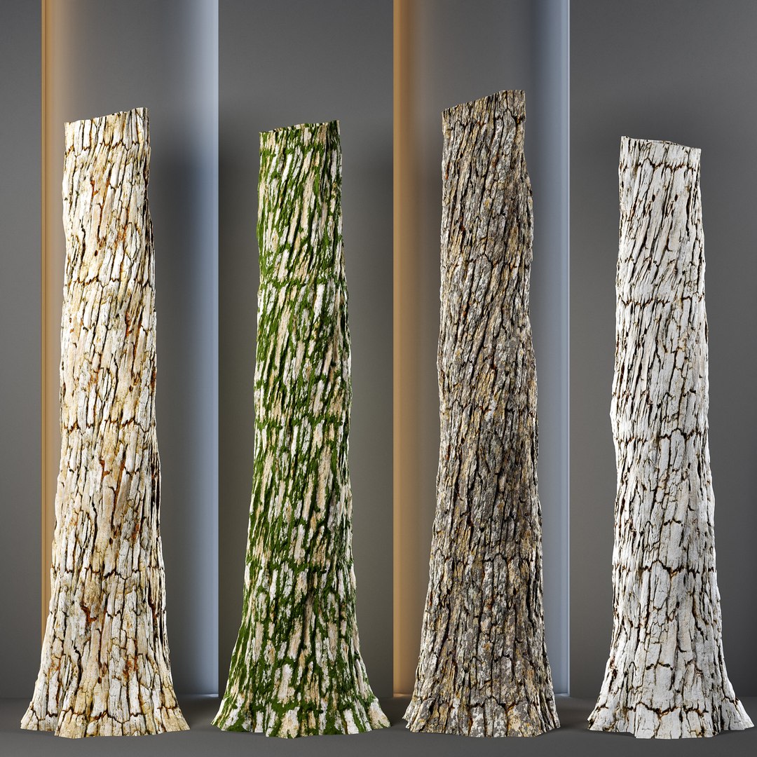 3D Tree Bark And Trunk Vol 16 - 4K PBR Tileable 4 Variations Model ...