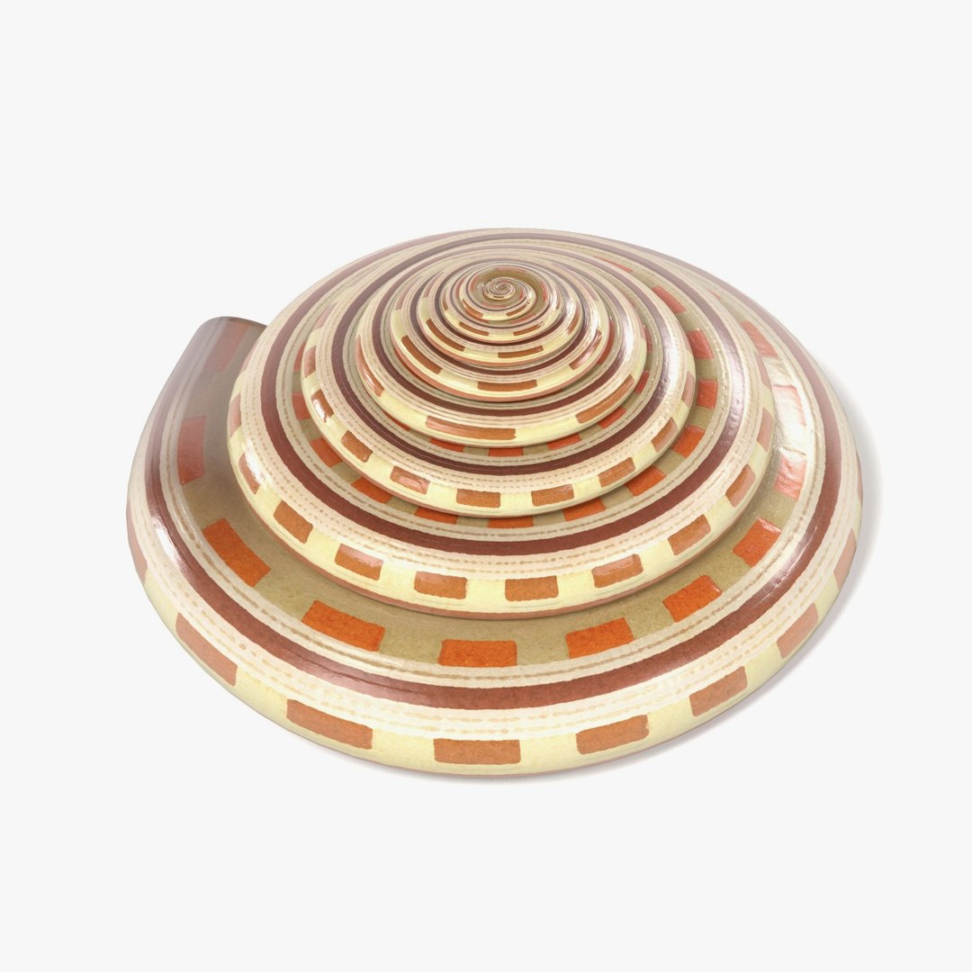 architectonica perspectiva 3d model