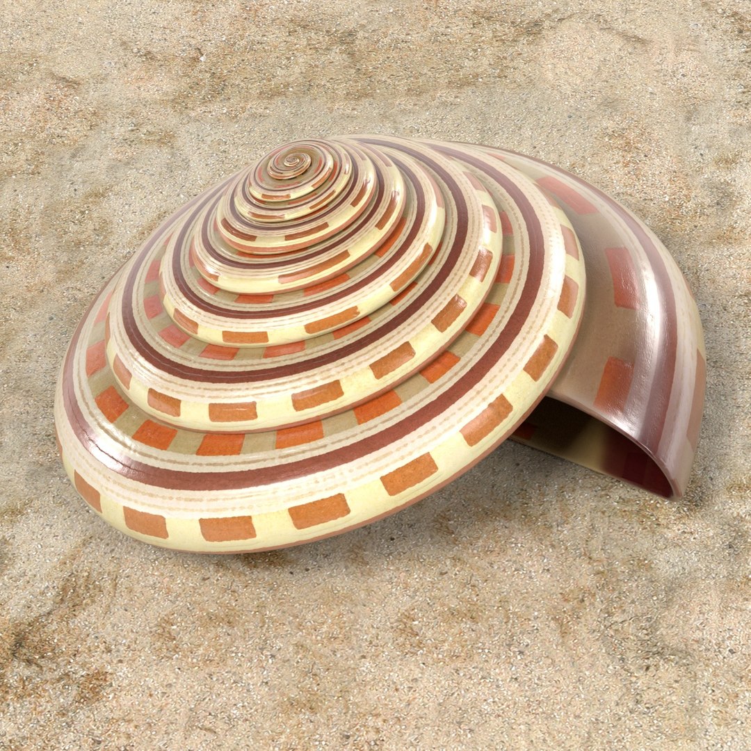 architectonica perspectiva 3d model