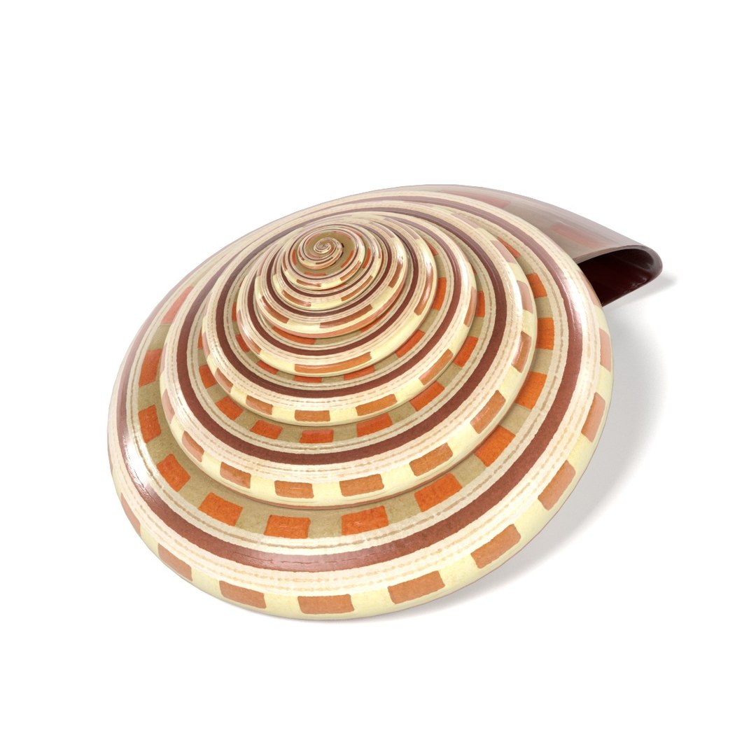 architectonica perspectiva 3d model