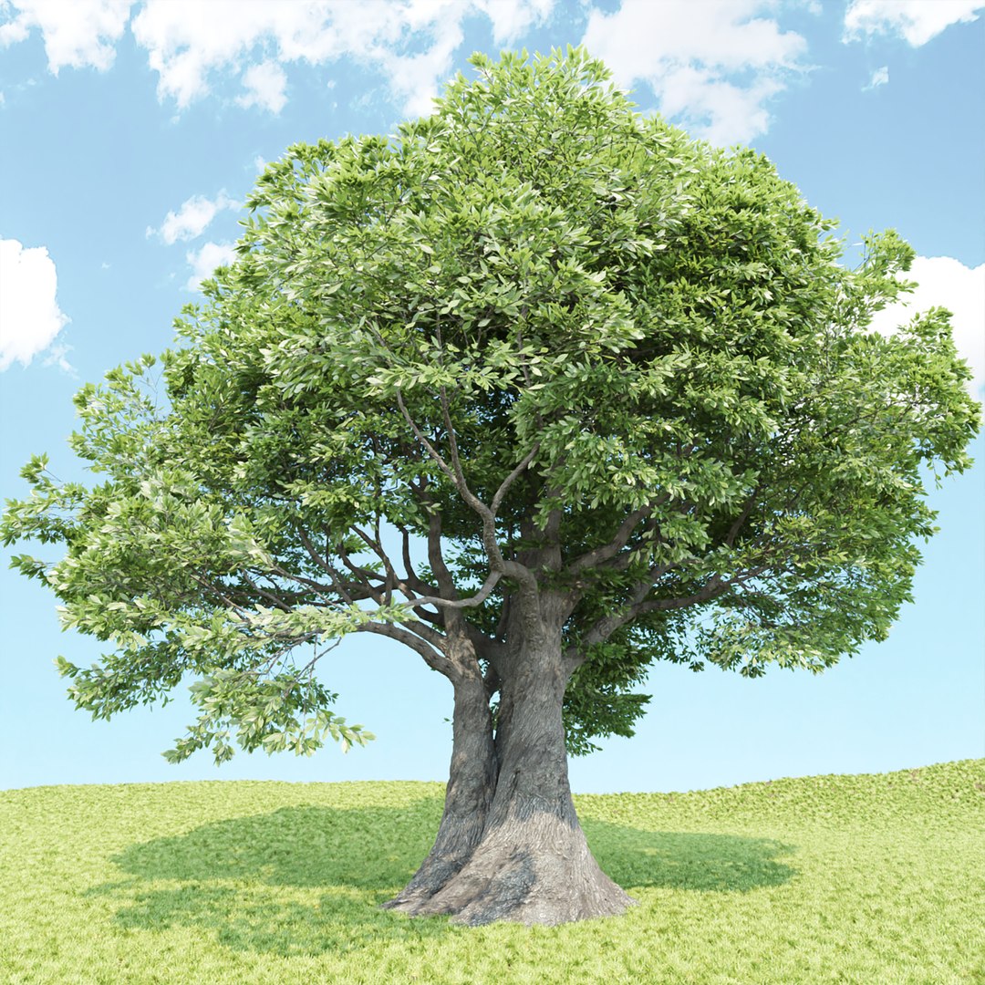 3D Landscape Tree Vol 165 Model - TurboSquid 2000920