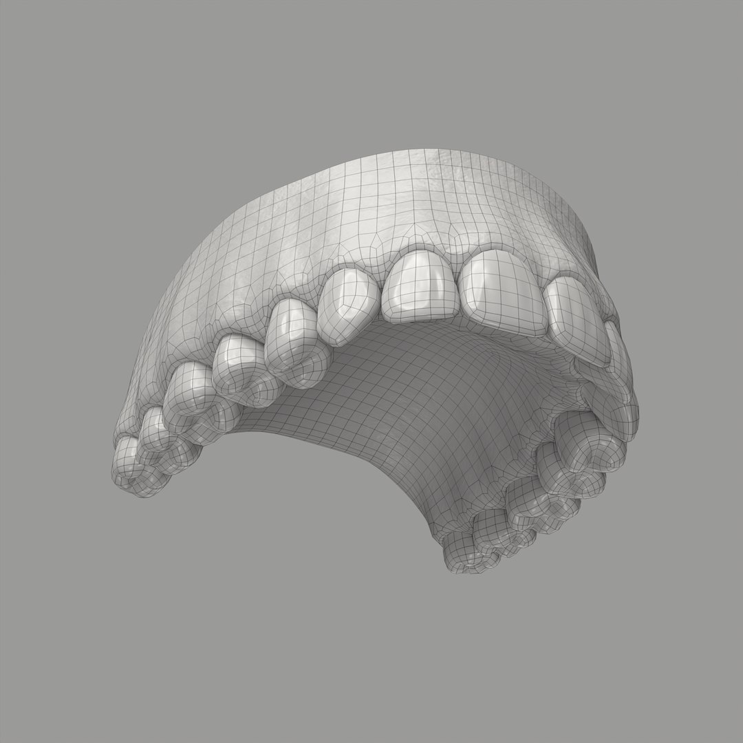 Mouth - Teeth Gums Tongue model - TurboSquid 2122167