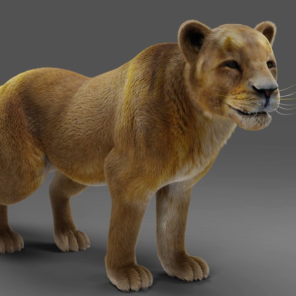 3D Fur Lioness V02 Rigged and Animation in Unity - TurboSquid 2034834