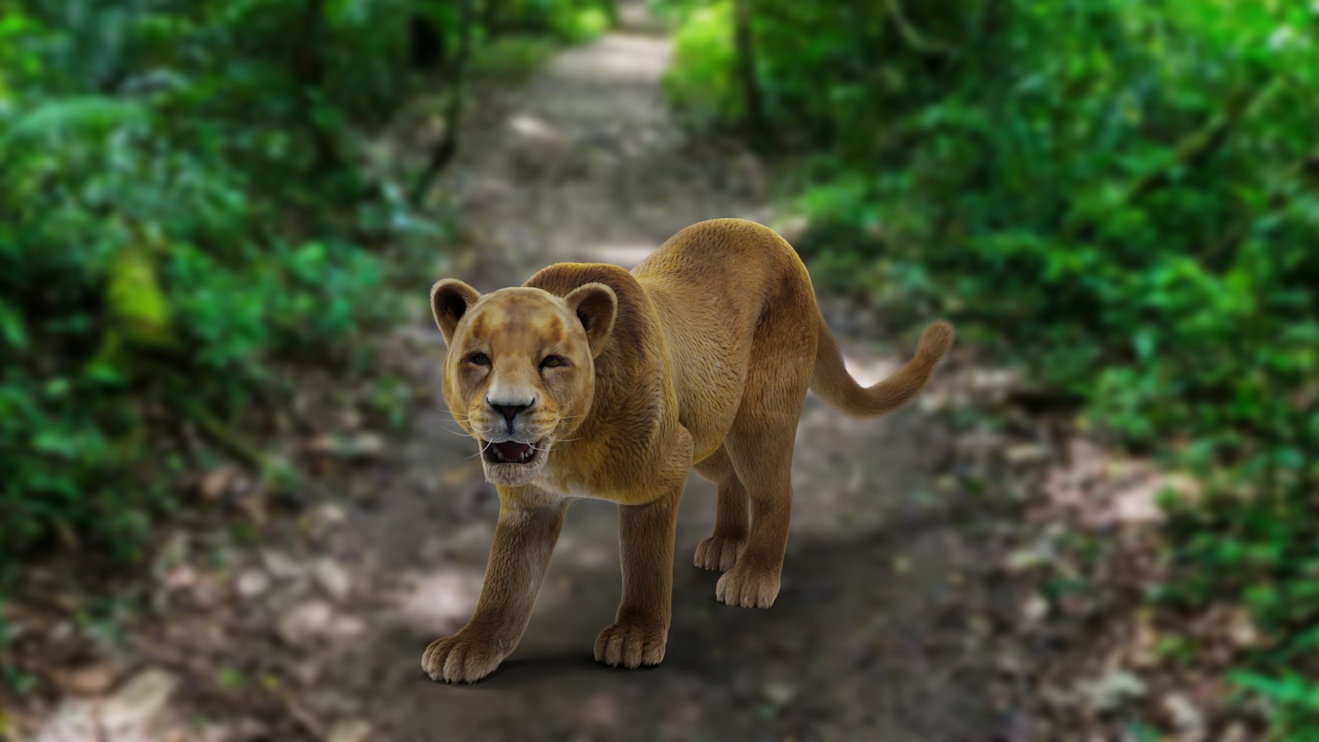 3D Fur Lioness V02 Rigged And Animation In Unity - TurboSquid 2034834
