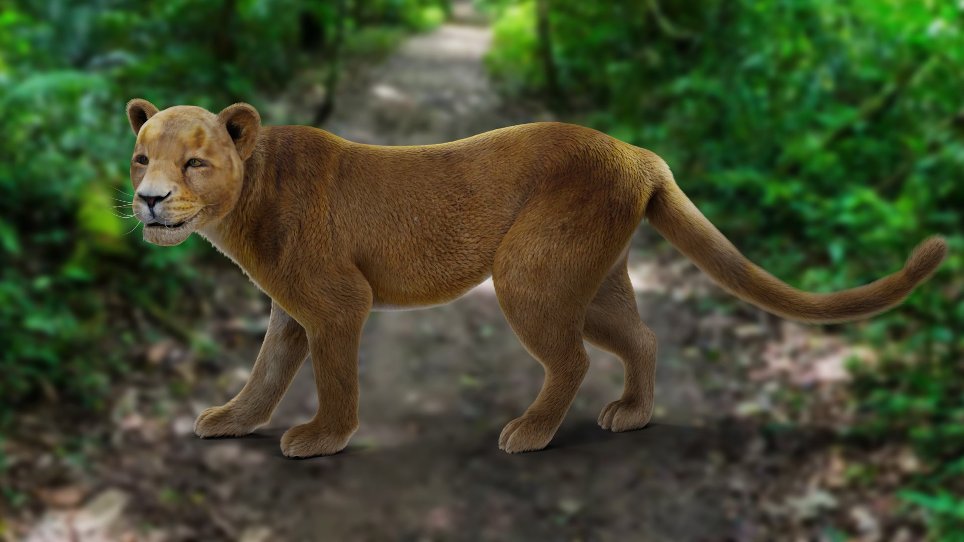 3D Fur Lioness V02 Rigged And Animation In Unity - TurboSquid 2034834