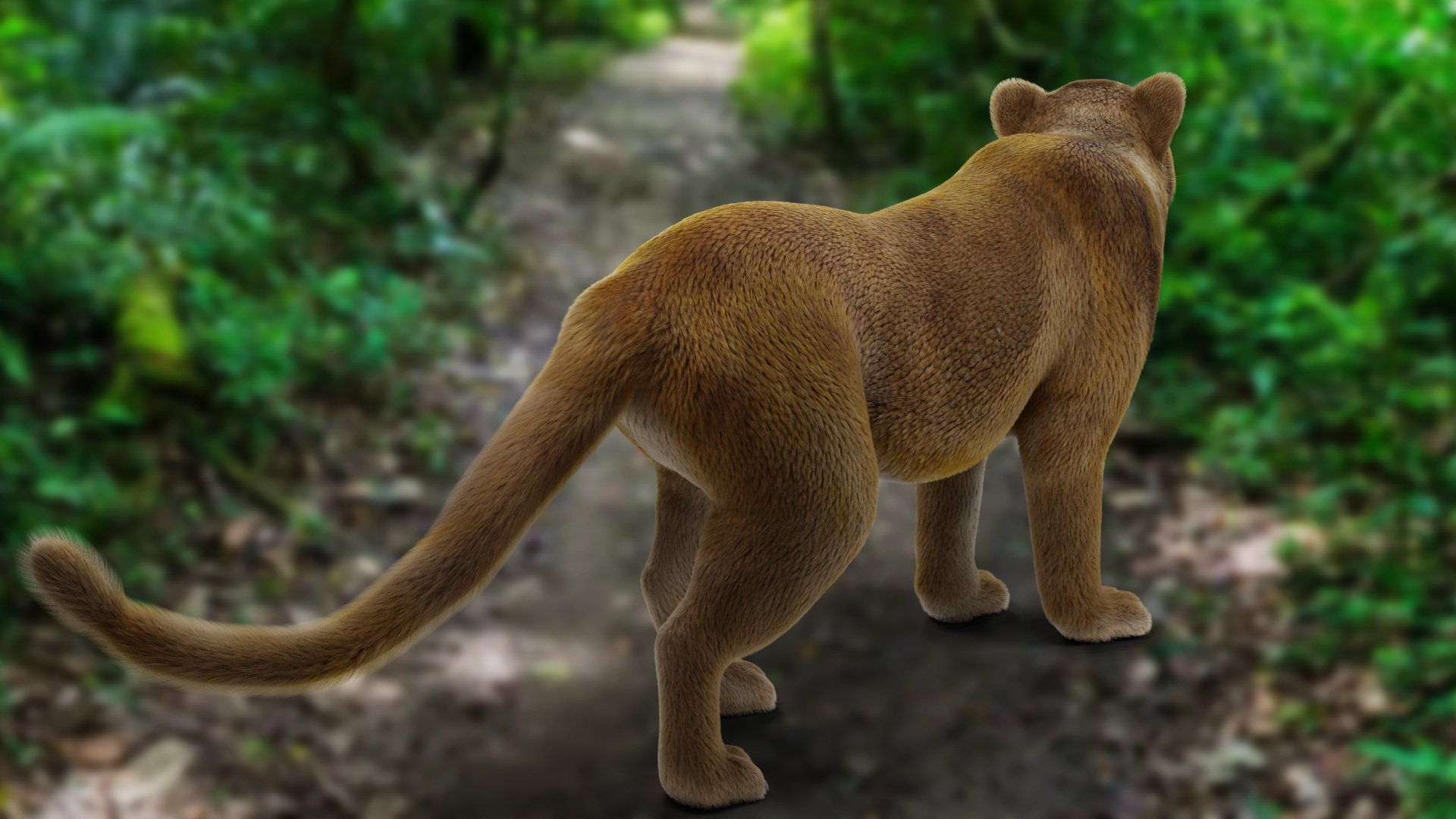 3D Fur Lioness V02 Rigged And Animation In Unity - TurboSquid 2034834