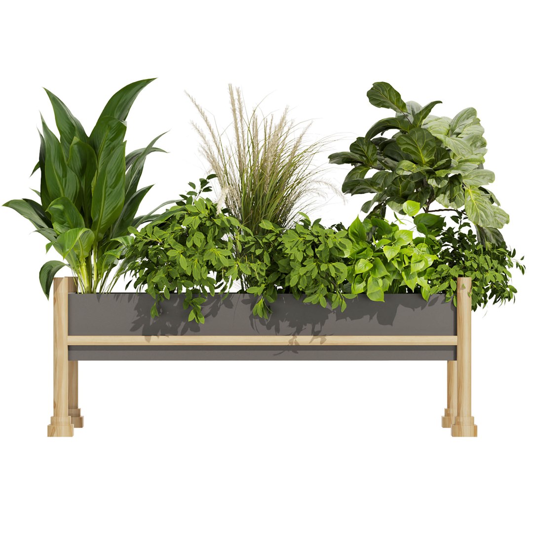 3D Collection Plant Vol 420 - Indoor - Monstera - Banana - Indoor ...