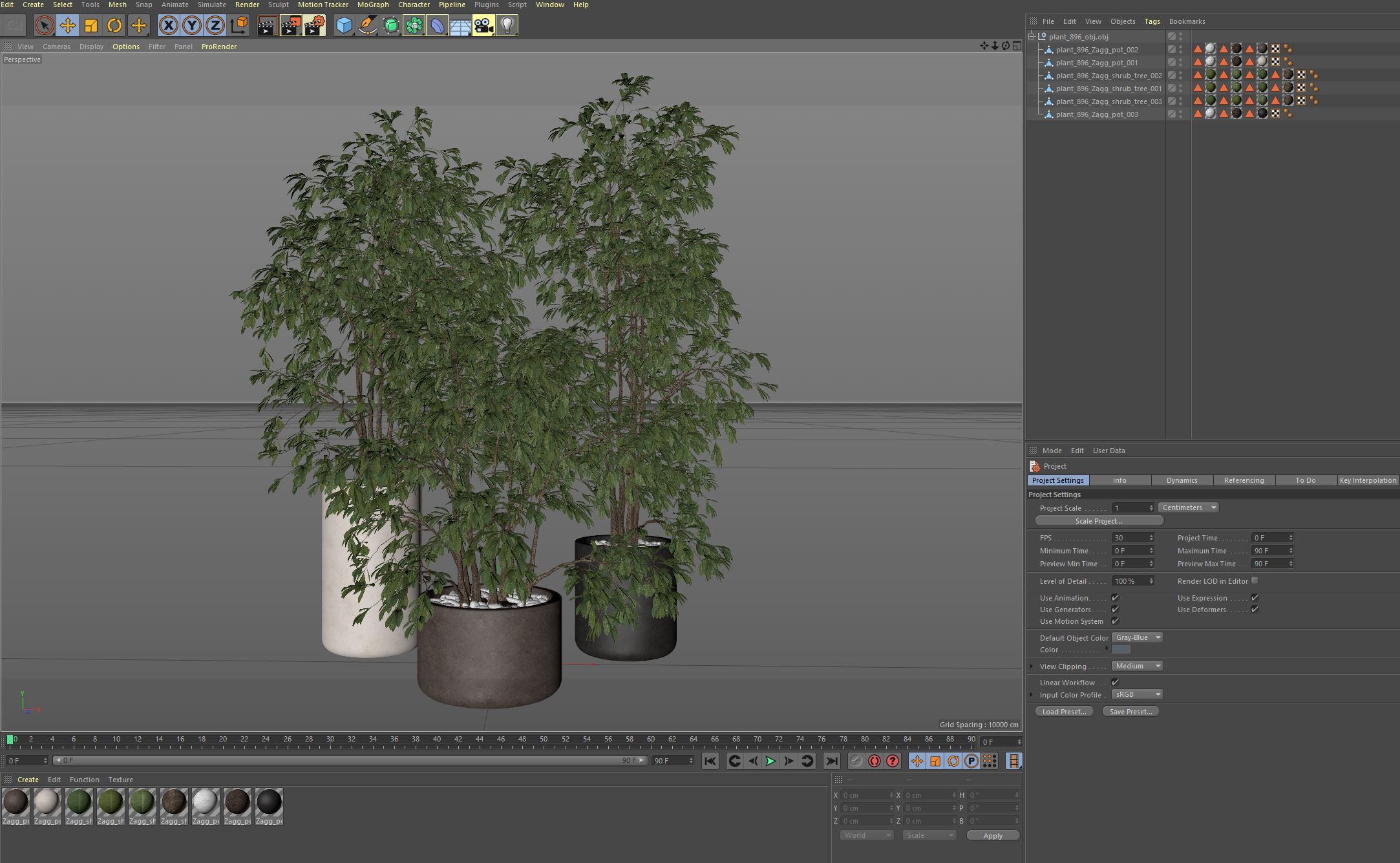 3D model Plants collection 896 - TurboSquid 2032641