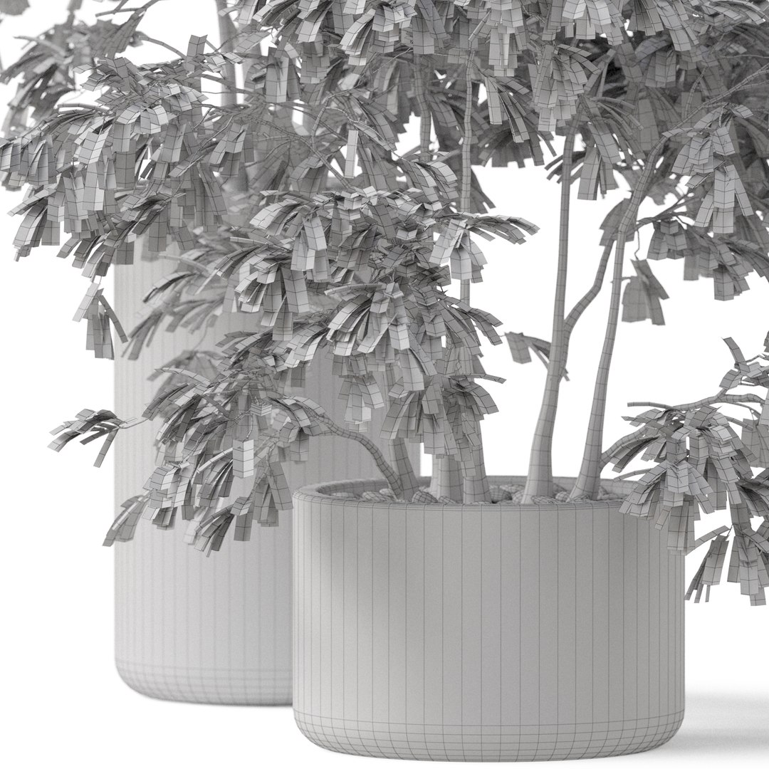 3D Model Plants Collection 896 - TurboSquid 2032641