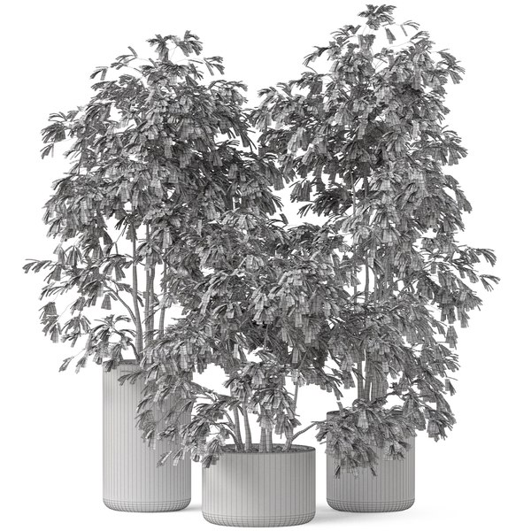 3D model Plants collection 896 - TurboSquid 2032641