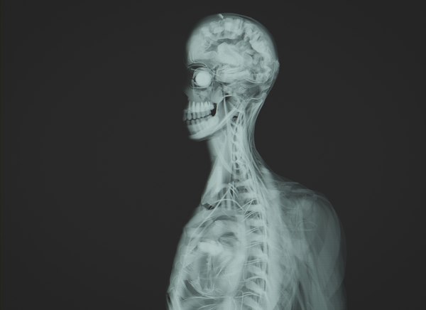 modelo 3d Radiografía de anatomía humana animada - TurboSquid 1815768