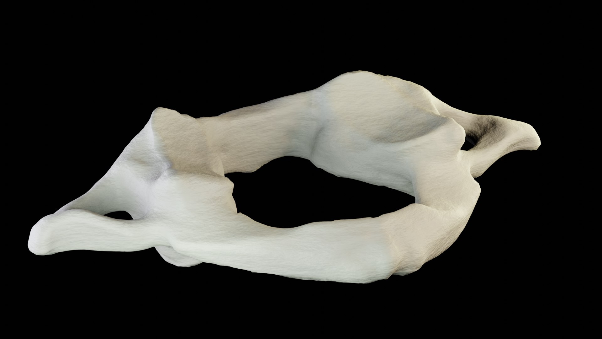 Atlas 3D Model - TurboSquid 1897428