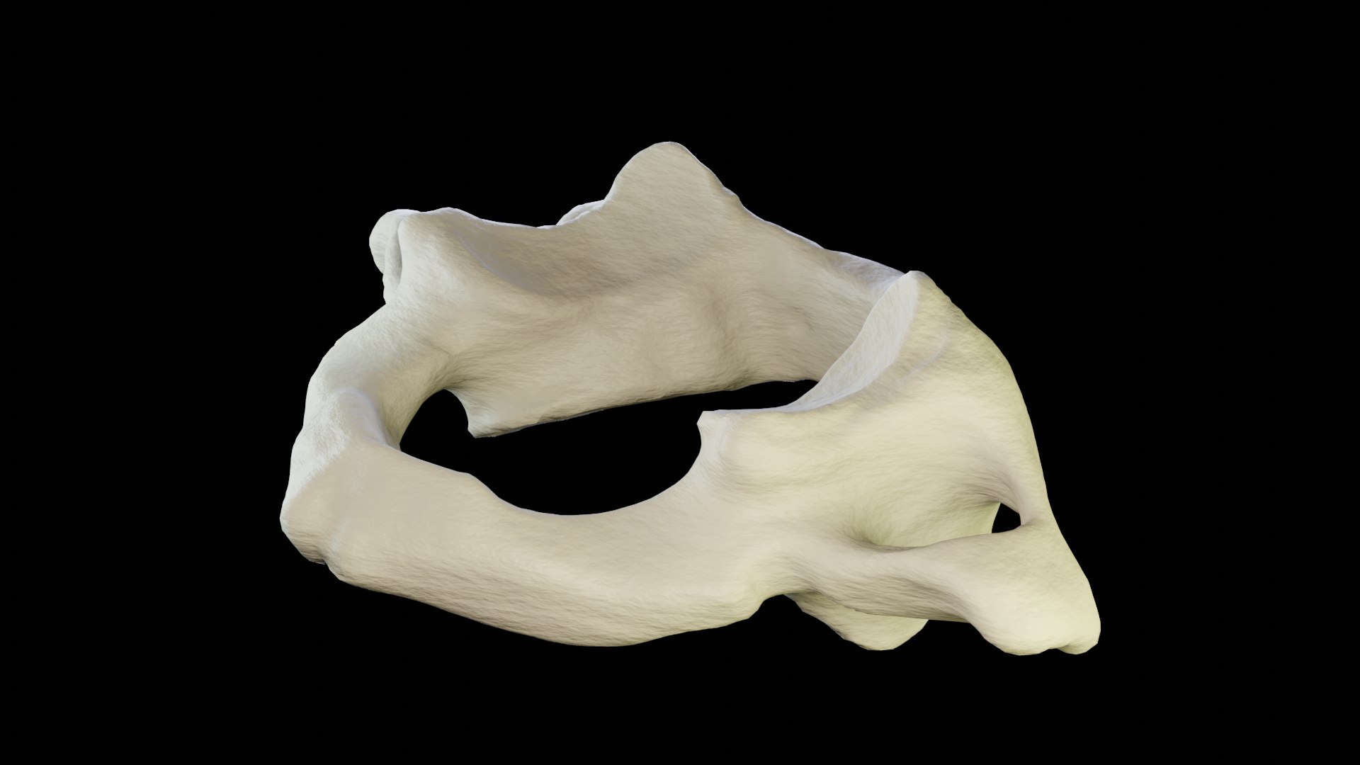 Atlas 3D Model - TurboSquid 1897428