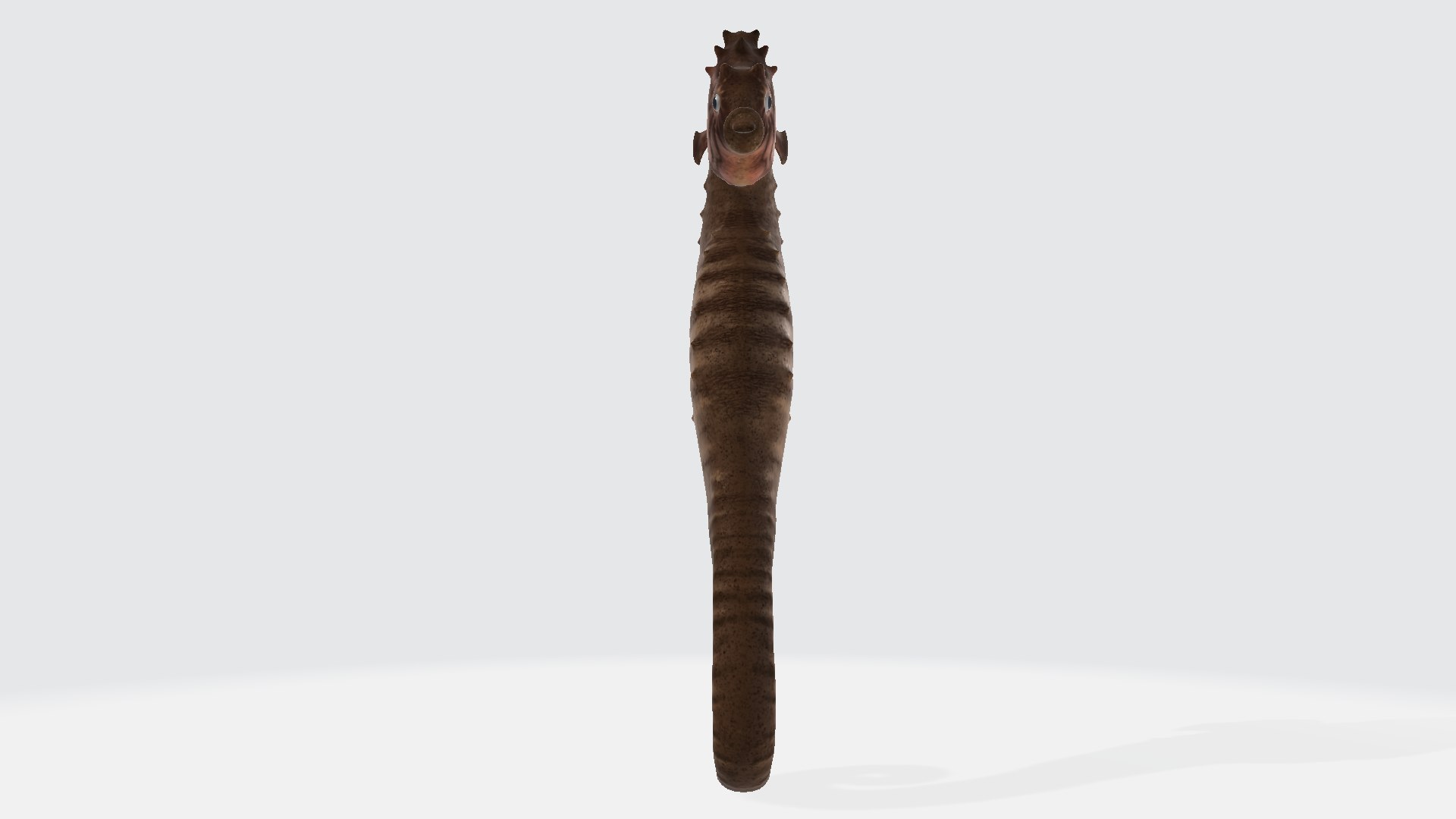 Free 3D Model Sea Horse - TurboSquid 2294941