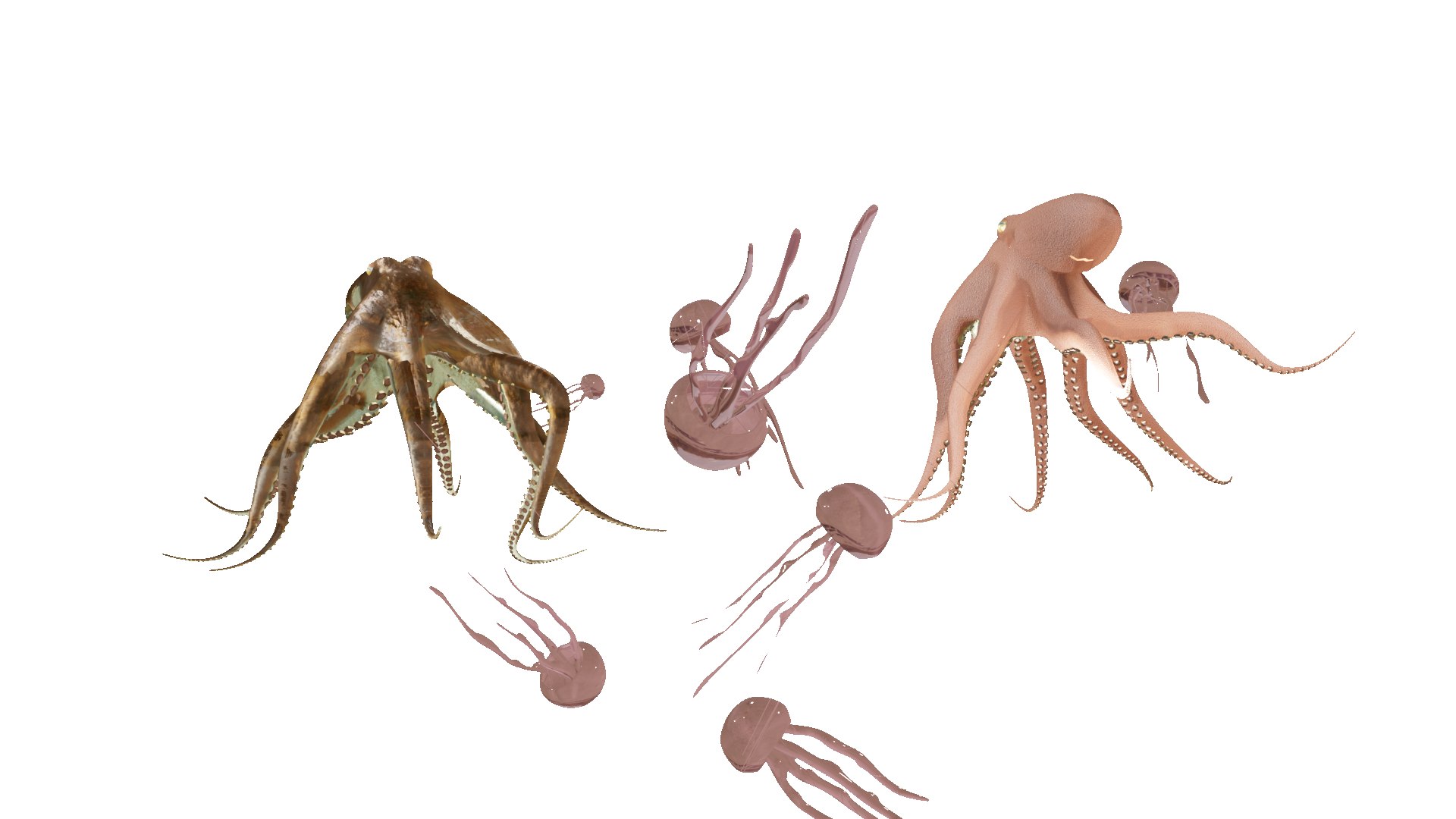 Octopus 3D - TurboSquid 1915307