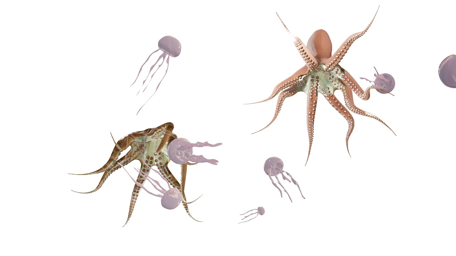 Octopus 3D - TurboSquid 1915307