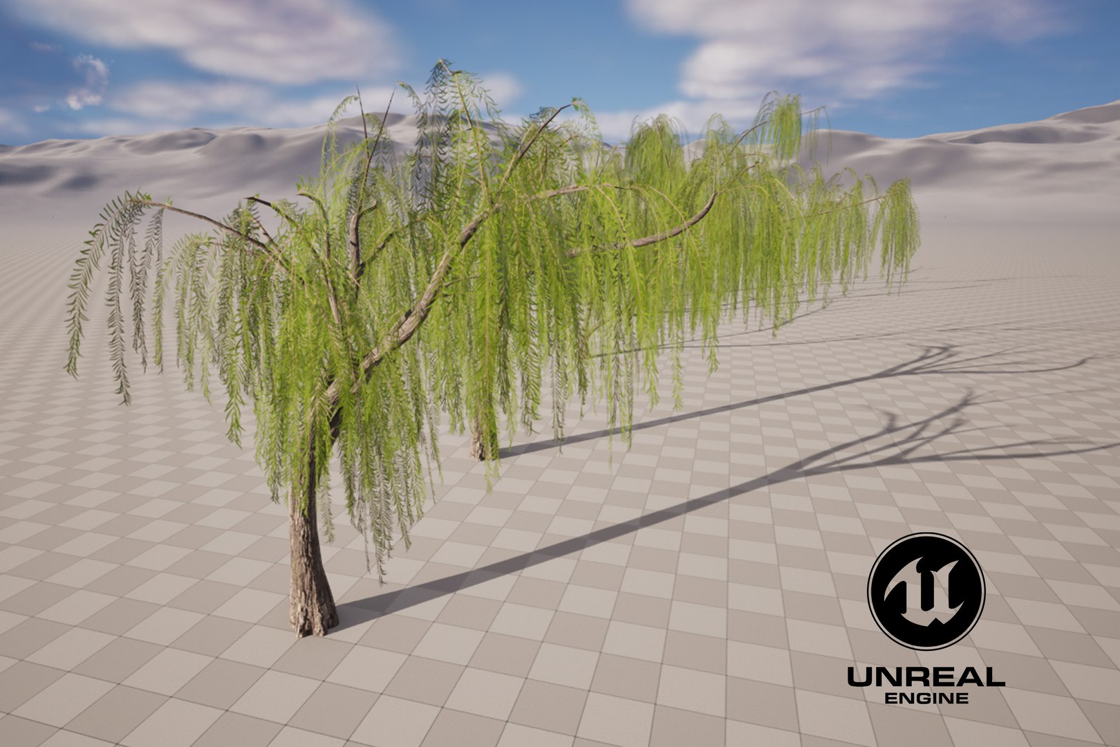 5 Willow Tree Low-poly 3D Model 3D - TurboSquid 2249810