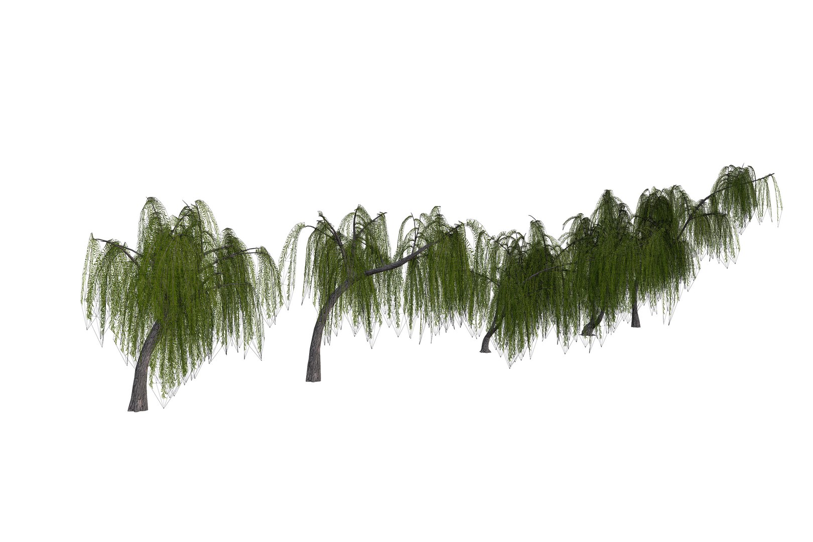 5 Willow Tree Low-poly 3D Model 3D - TurboSquid 2249810