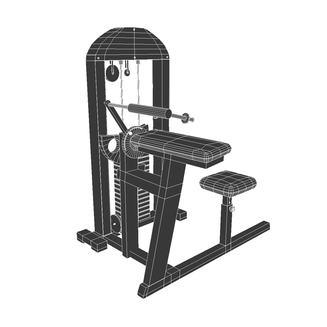 Tricep Exercise Machine 3D - TurboSquid 1616430