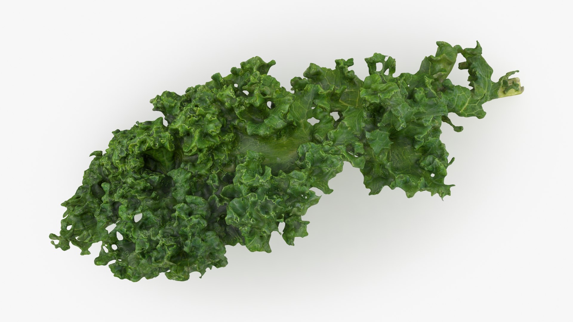 Kale 3D Model - TurboSquid 2189454