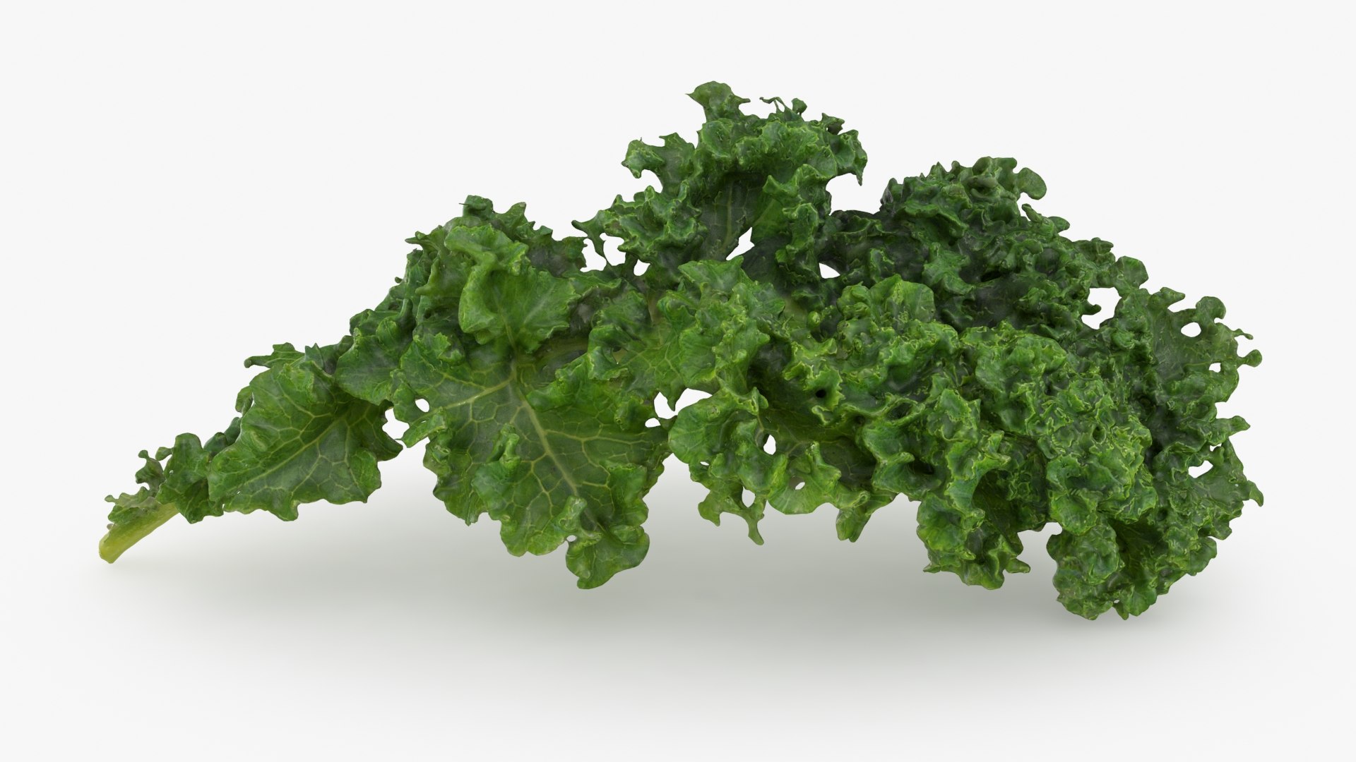 Kale 3D Model - TurboSquid 2189454