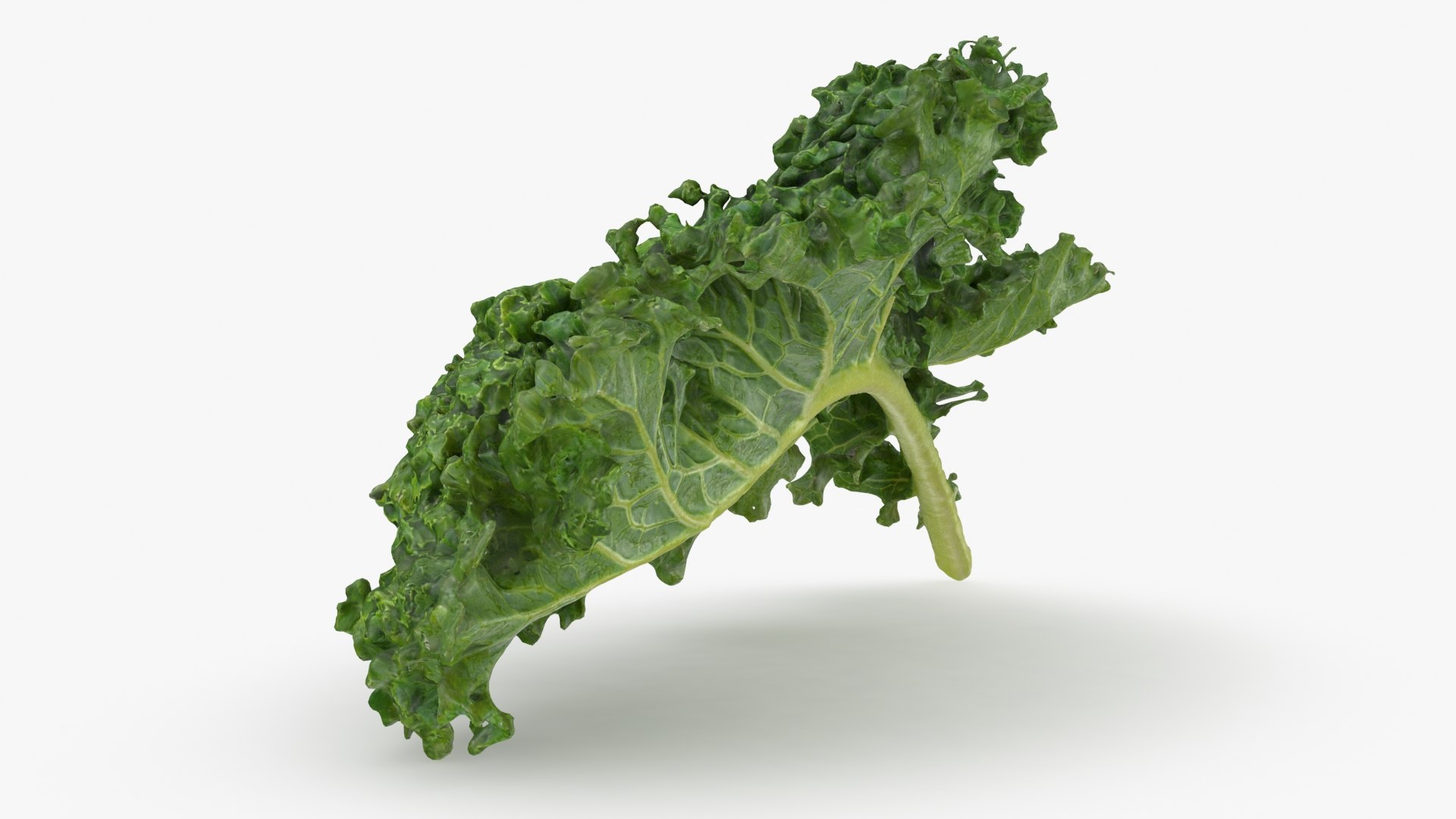 Kale 3D Model - TurboSquid 2189454